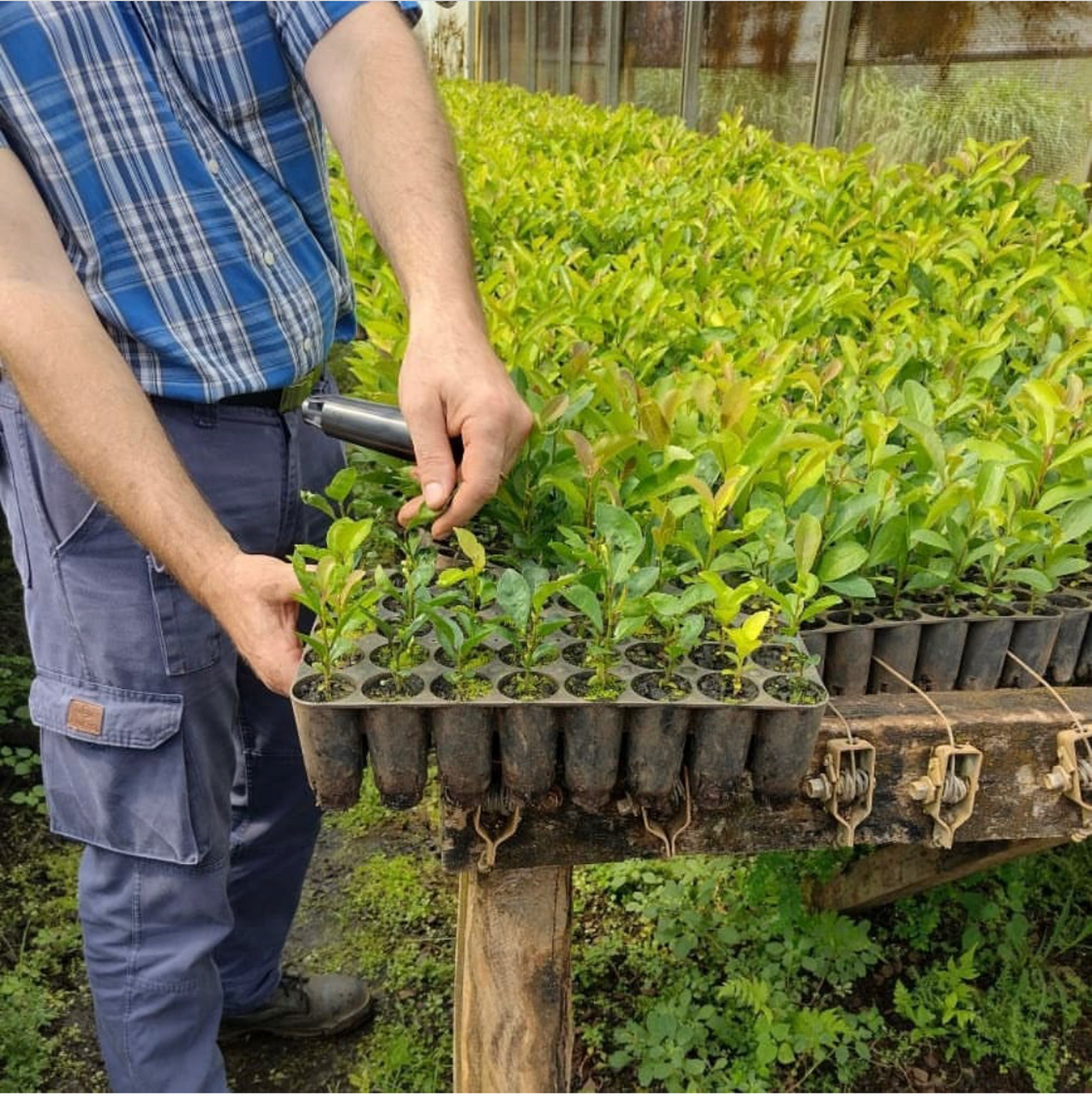 Sedes e Instalaciones – Facultad de Ciencias Agrarias y Veterinarias