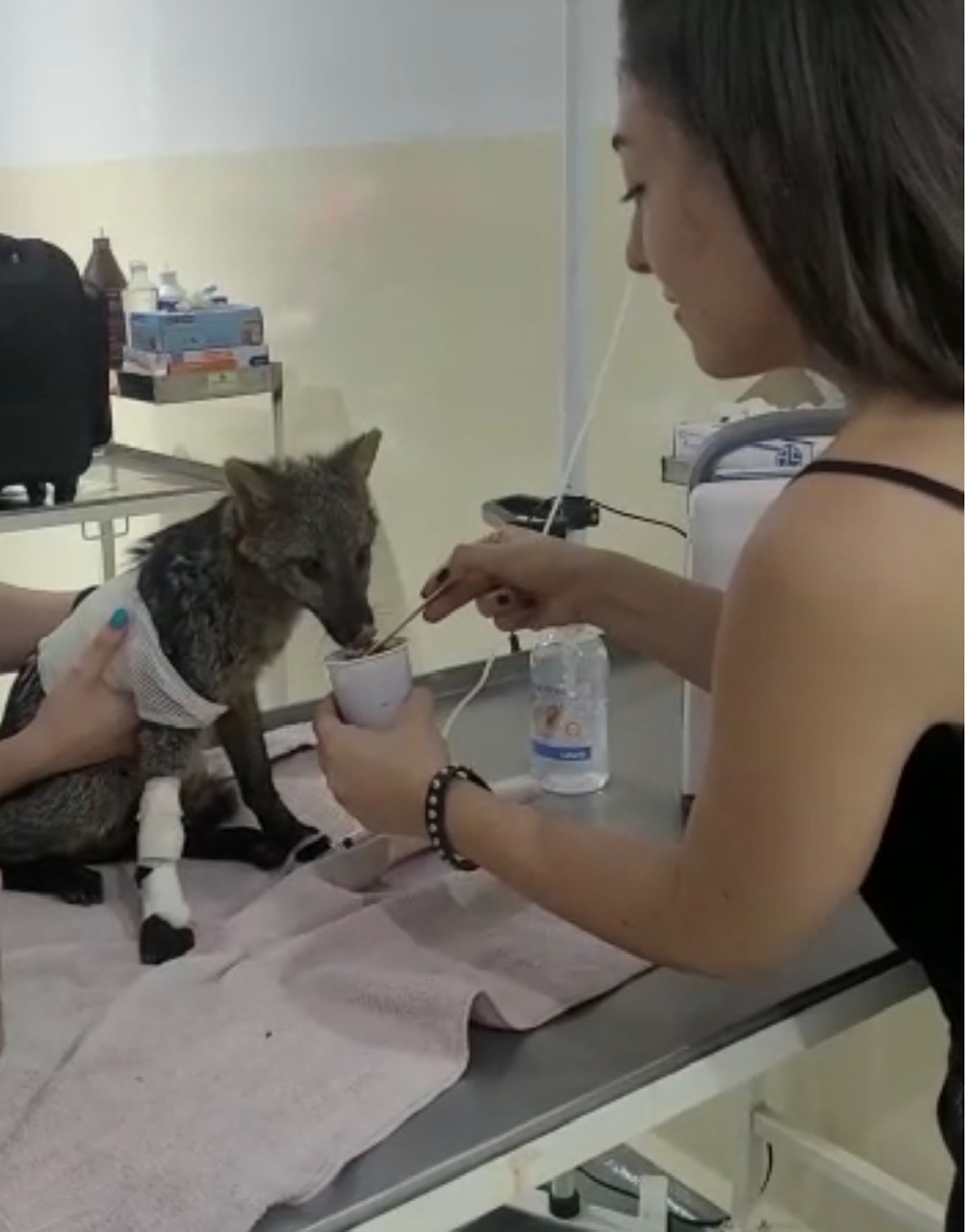 Sedes e Instalaciones – Facultad de Ciencias Agrarias y Veterinarias