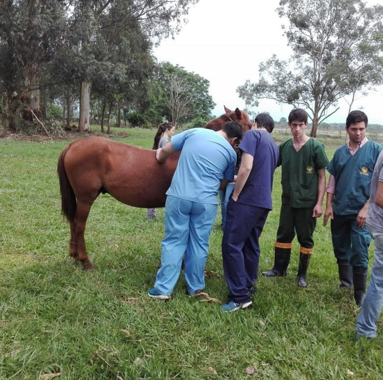 Sedes e Instalaciones – Facultad de Ciencias Agrarias y Veterinarias